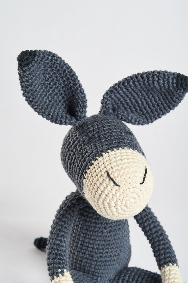 Roque the Donkey – VincentandVivi